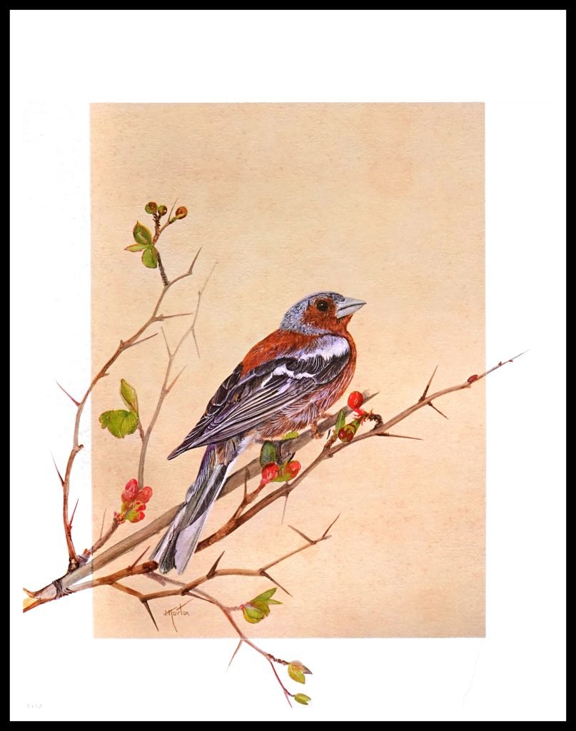 AK LT3129 Birds - Decor Arts International